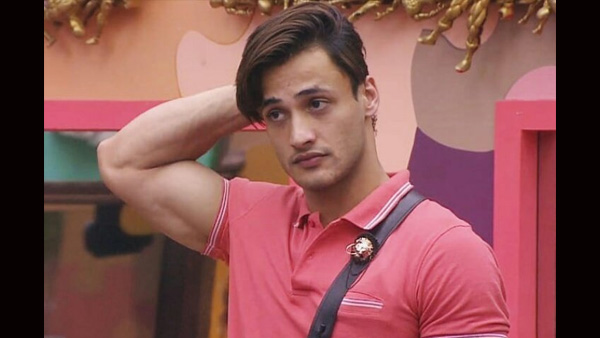 Bigg Boss 13: Asim Riaz Breaks Shilpa Shinde's Record; #UnstoppableAsim ...