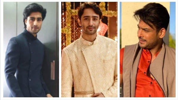 Best TV Actors 2020: From Harshad Chopda To Shaheer Sheikh, TV Stars ...