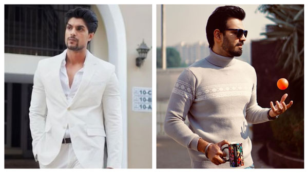 Sidharth Shukla, Harshad Chopda, Shaheer Sheikh, Dheeraj Dhoopar ...