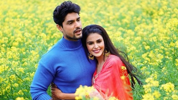 Udaariyaan's Ankit Gupta & Priyanka Talk About Their Character Graphs ...