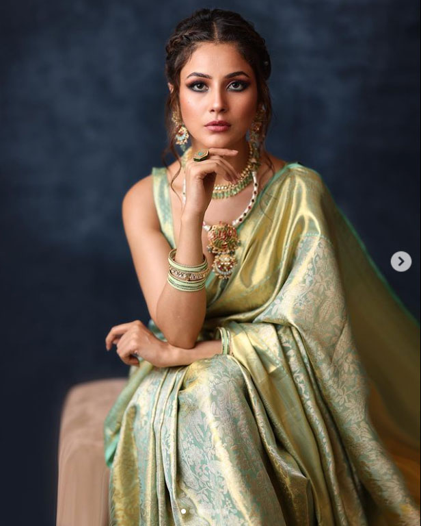 Shehnaaz Gill Dishes Out Regal Vibes As She Flaunts Her Love For ...