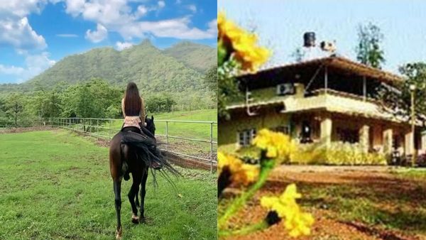 From Pool To Horse Stable: A Sneak Peak Into Salman Khan's Lush Panvel ...