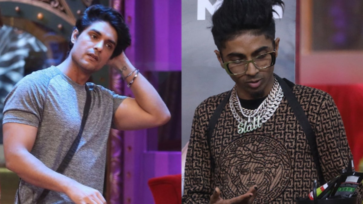 Bigg Boss 16 Finale Ankit Gupta Reply To MC Stan Post Dig At Priyanka ...