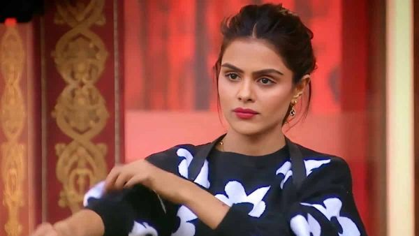 Bigg Boss 16: Ankit Gupta Junooniyatt Heroine Neha Rana Rooting For ...