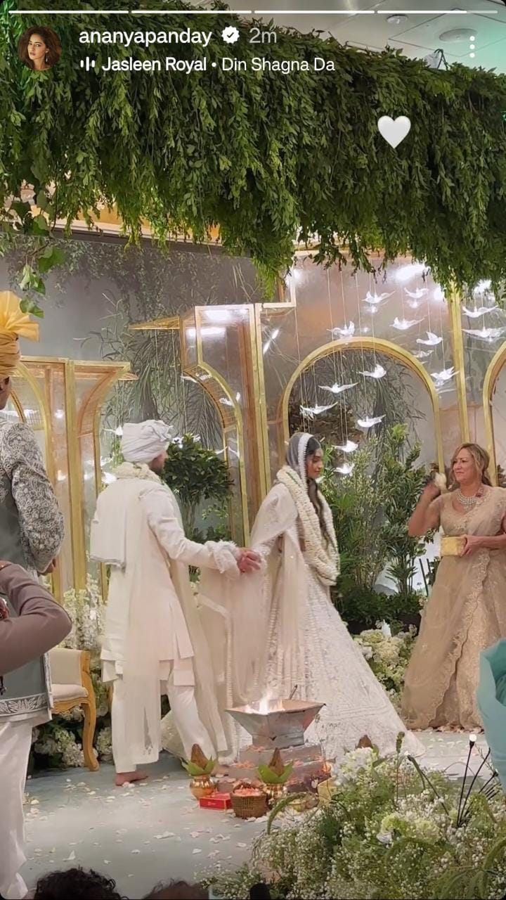 Alanna Panday Ivor McCray Wedding Inside Pics Ananya Panday Sister ...