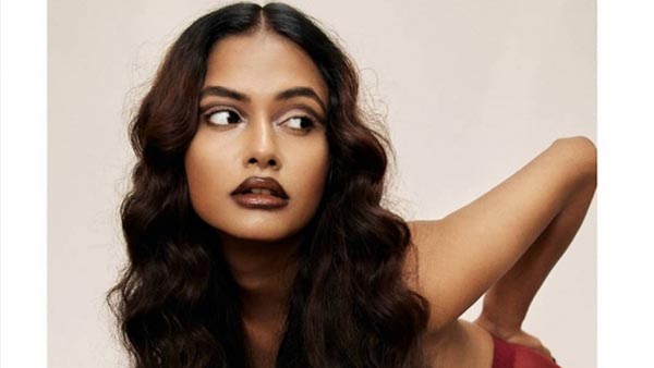 Bigg Boss Malayalam Season 5 Launch Updates: Much-Awaited Reality Show ...