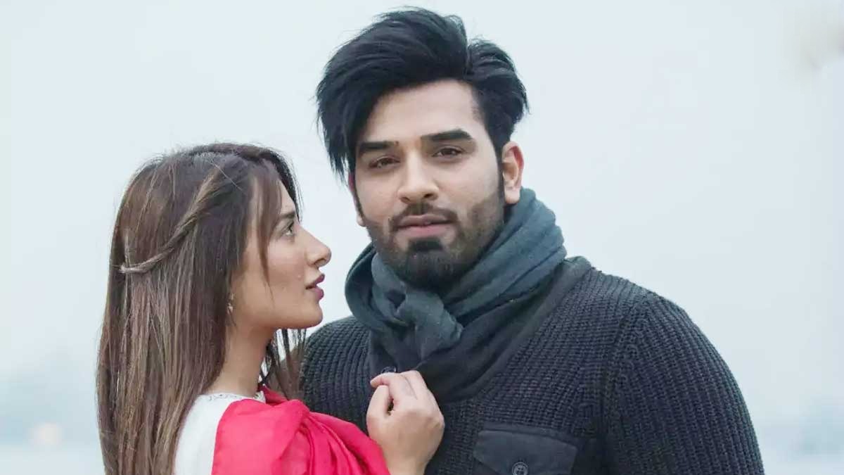 Paras Chhabra Mahira Sharma Break Up Real Reason Over Possessive ...