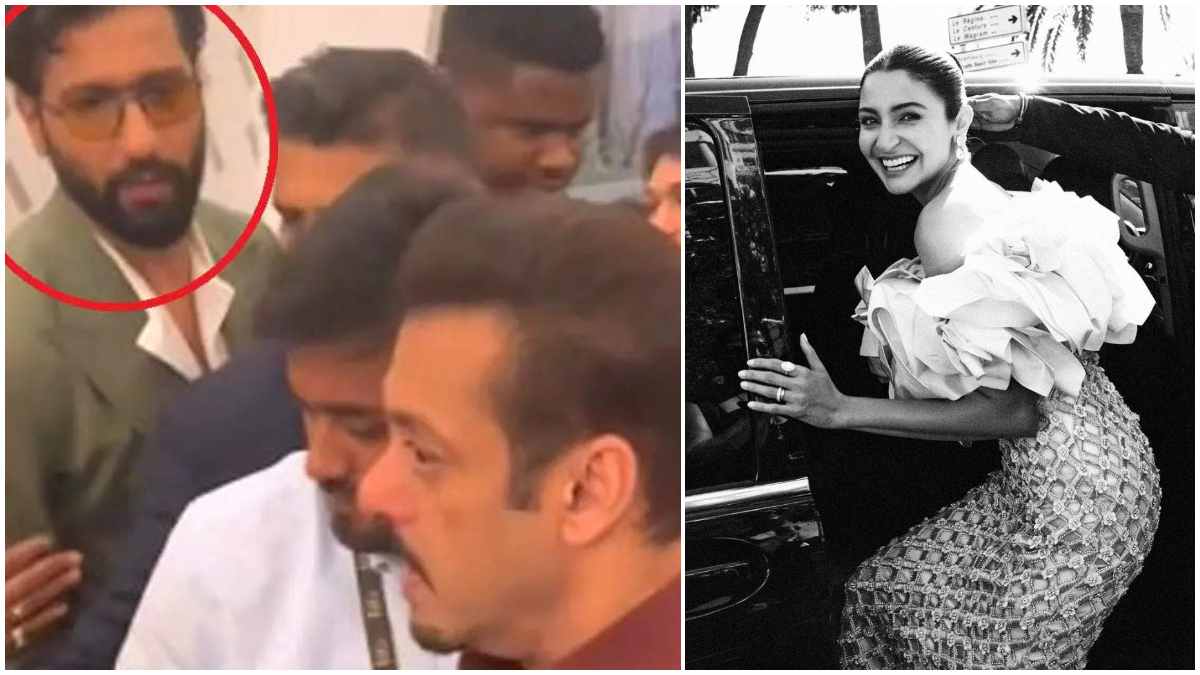 Entertainment Live Updates Vicky Kaushal Reacts Salman Khan Security