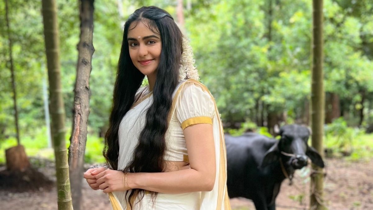 The Kerala Story Box Office Collection Day 13 Prediction | The Kerala ...