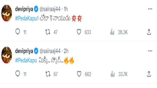 Peddha Kapu 1 First Review: Virat Karrna's Debut Action Drama By ...