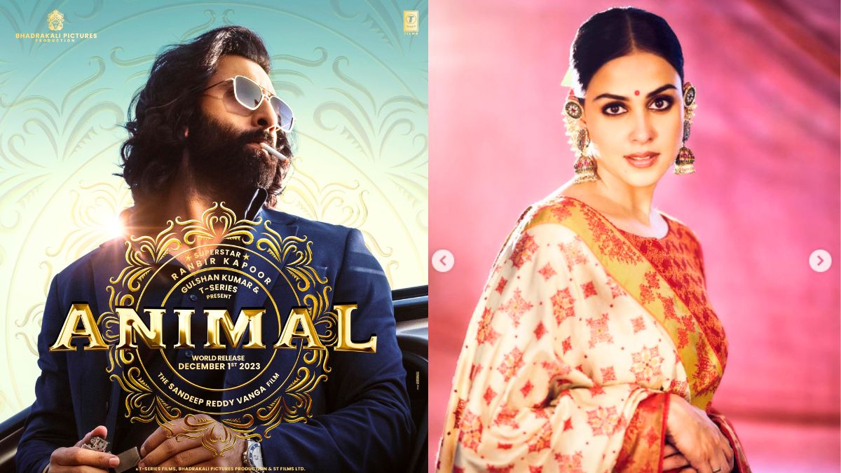 Ent LIVE Blog: Animal Trailer On November 23, Genelia Deshmukh To Romance In Aamir In Sitaare ...