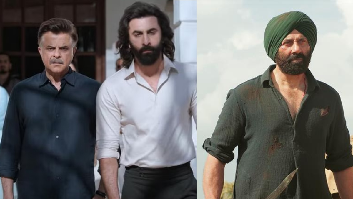 Animal Box Office Day 20 Collection | Animal 527Cr | Ranbir Kapoor ...