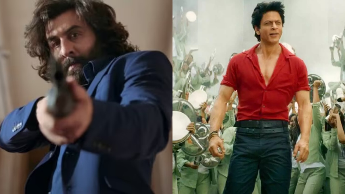 Animal Collection Day 1 | Animal Box Office Collection Day 1 | Animal ...