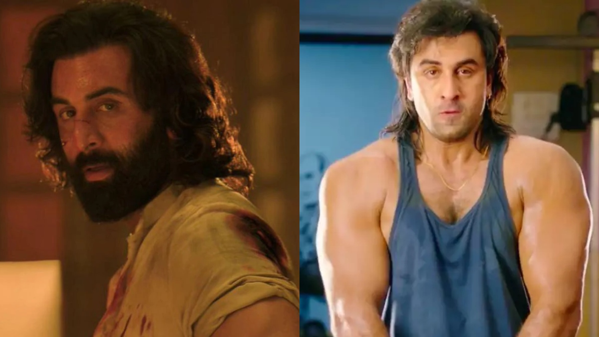 Animal Day 7 Collection | Animal Crosses 312 Cr | Animal Inches Towards ...