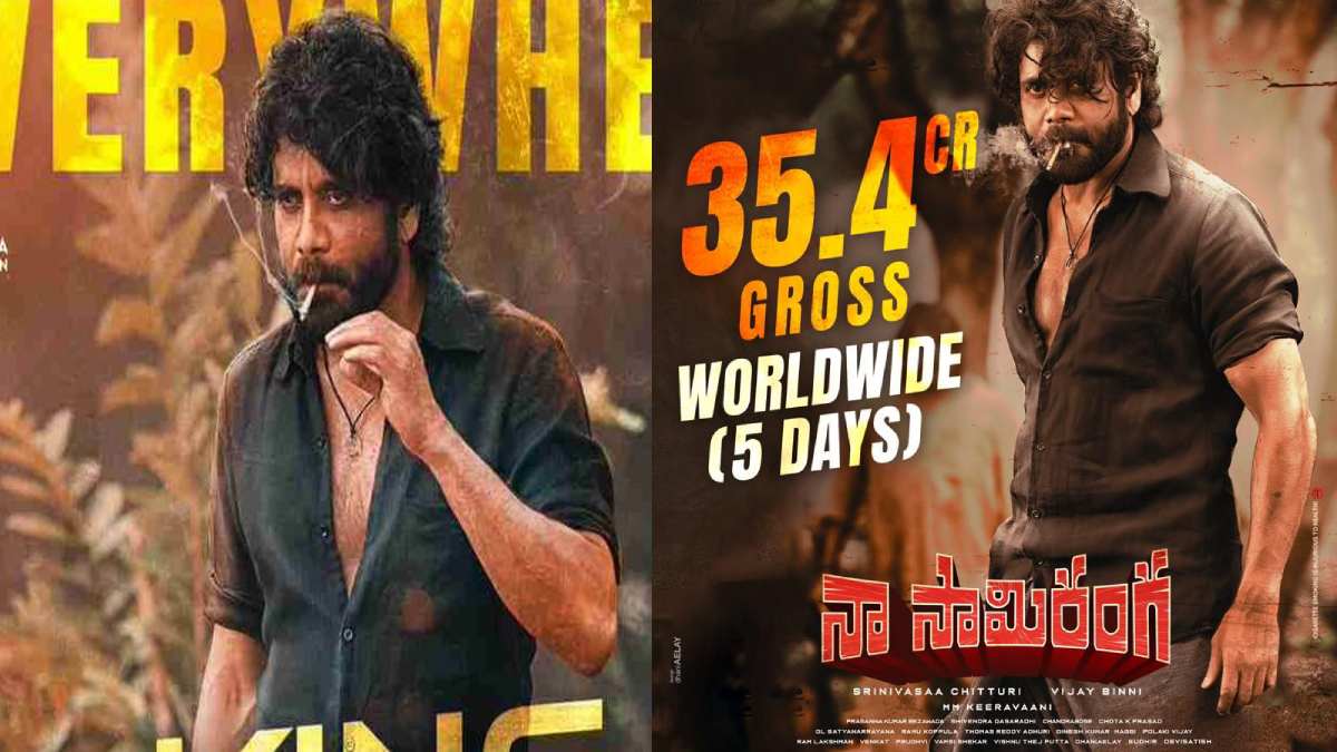 Naa Saami Ranga Box Office Collection Day 6 Prediction: Nagarjuna ...