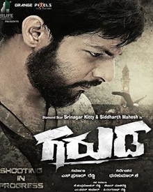Garuda (2019) | Garuda Movie | Garuda Kannada Movie Cast & Crew ...