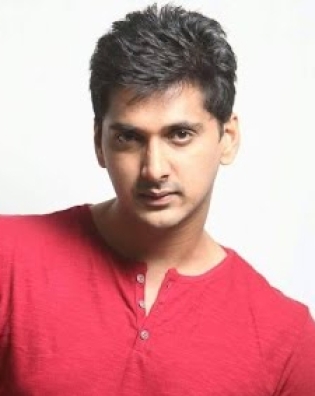 Hindi Serial Arnav Artists Family