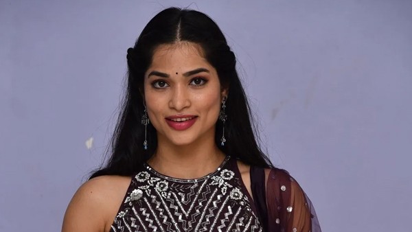 Bigg Boss Telugu Season 7 Contestants List With Photos | Bigg Boss ...