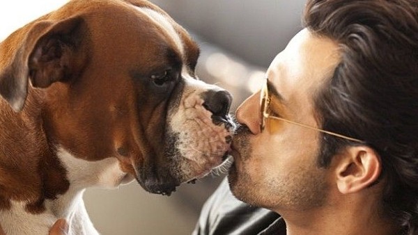 Bollywood Celebreties Who Are Animal Lovers: Hindi Actors Who Love ...