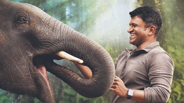 Puneeth Rajkumar Birth Anniversary Special: His Last Movie Gandhada ...