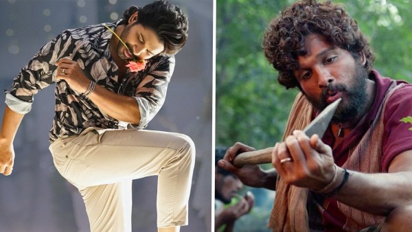 Sytlish Star To Pan-India Star: Allu Arjun's Journey in Indian Cinema ...