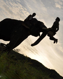 கும்கி 2 கதை | Kumki 2 Kollywood Movie Story, Preview in Tamil ...