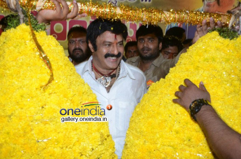 Balakrishna Birthday Celebration 2014 Photos - FilmiBeat
