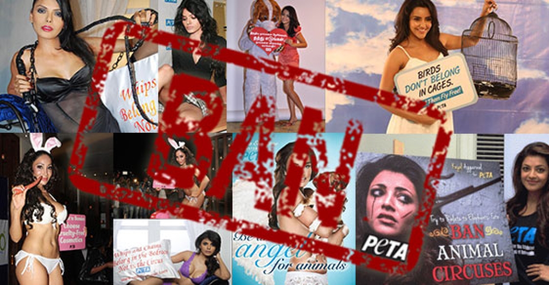 Celebs Who Support PETA Photos - FilmiBeat