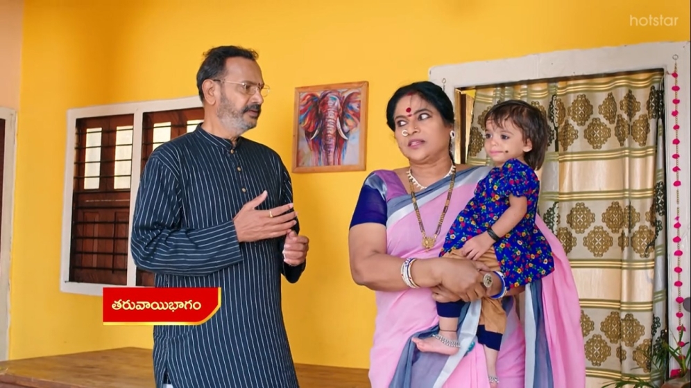 Vadinamma : అమ్మో పార్వతి..రౌడీ సాయంతో వైదేహి కిడ్నాప్.. ఊపిరి ఆడకుండా ...