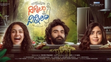 Ninnila Ninnila Movie (2021): Release Date, Cast, Review, Trailer ...