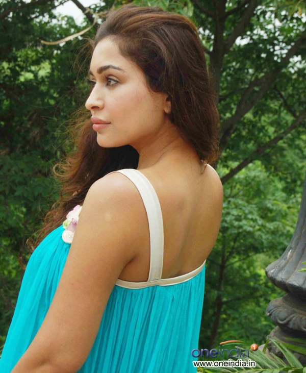 Tarina Patel Photos: Latest HD Images, Pictures, Stills & Pics - FilmiBeat