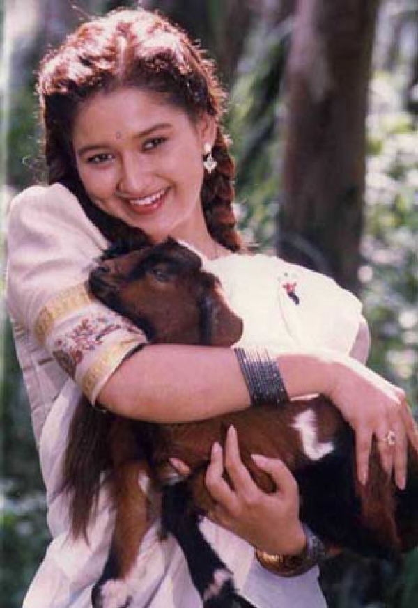 Laila Tamil Actress Photos HD Latest Images Pictures Stills Of laila-tamil-actress-photos-hd-latest-images-pictures-stills-of