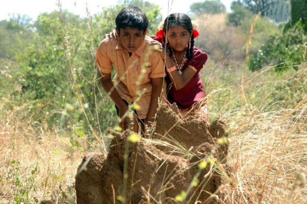 Mynaa Photos: HD Images, Pictures, Stills, First Look Posters of Mynaa ...