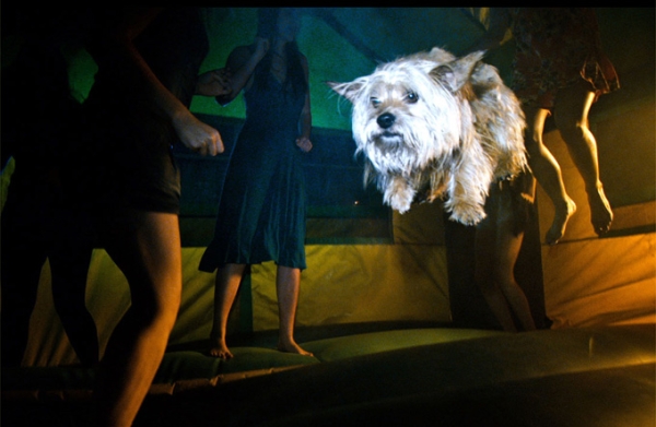 Project X Photos: HD Images, Pictures, Stills, First Look Posters of ...