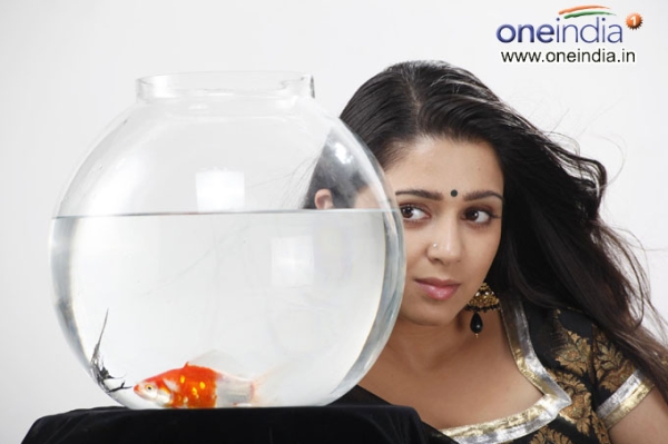 Dev - Son of Mudde Gowda Photos: HD Images, Pictures, Stills, First ...