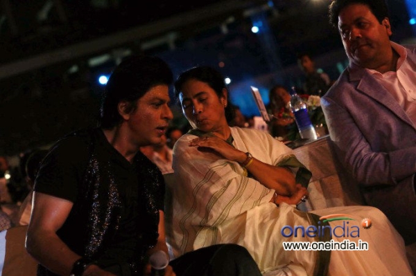 IPL 6 opening ceremony Photos - FilmiBeat