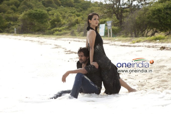 Droha Photos: HD Images, Pictures, Stills, First Look Posters of Droha ...