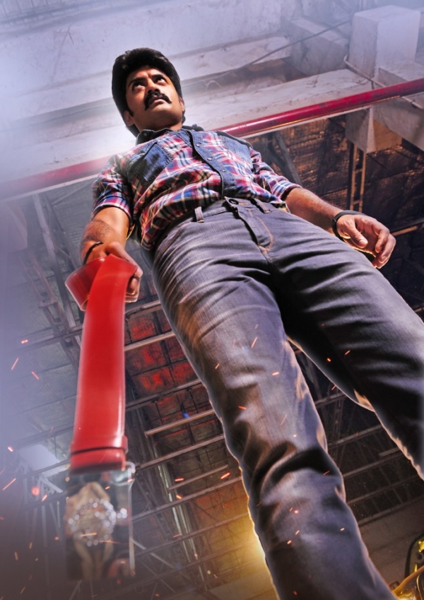 Patas Photos: HD Images, Pictures, Stills, First Look Posters of Patas ...