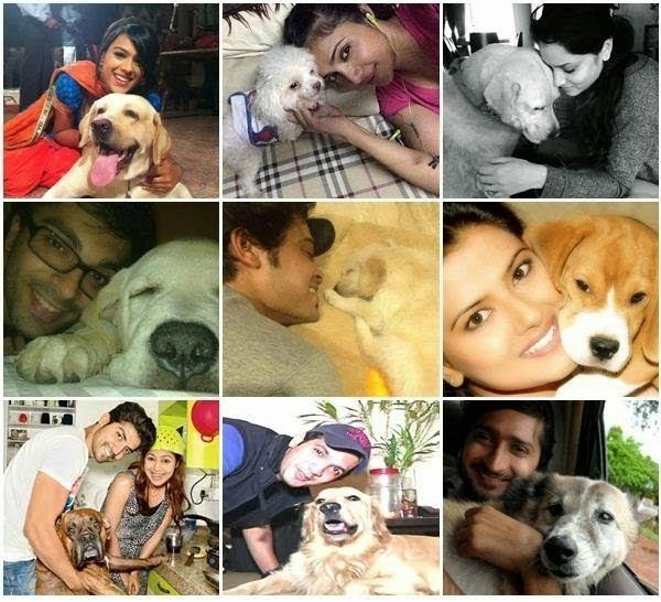 Indian Celebrities With Their Pets Photos - FilmiBeat
