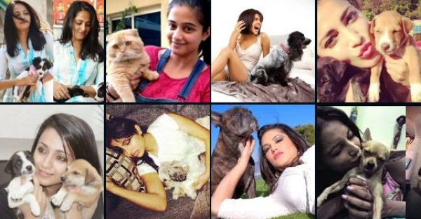 Indian Celebrities With Their Pets Photos - FilmiBeat