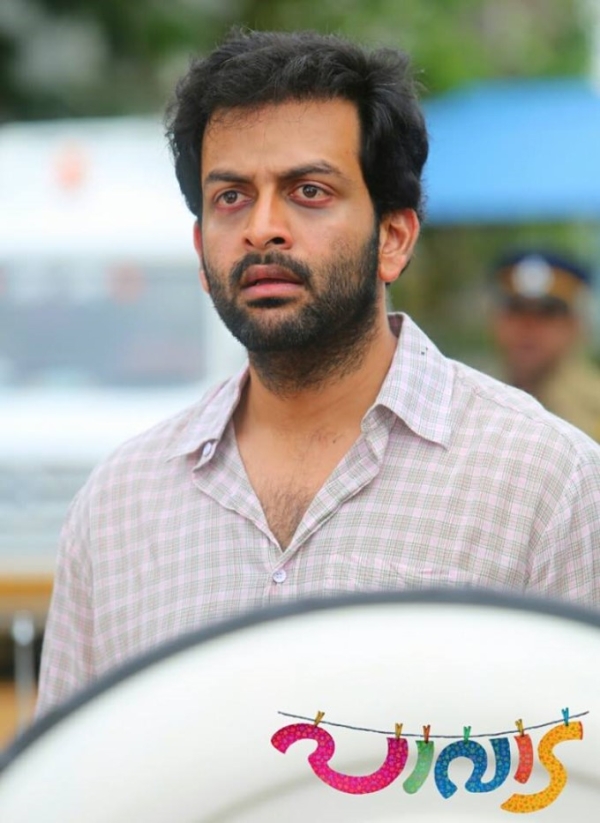 Paavada Photos: HD Images, Pictures, Stills, First Look Posters of ...