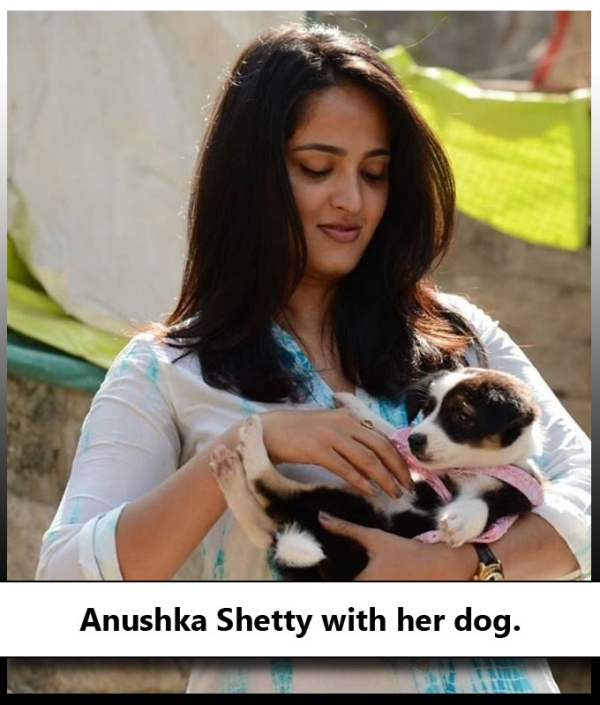 Indian Celebrities With Their Adorable Pets Photos - FilmiBeat