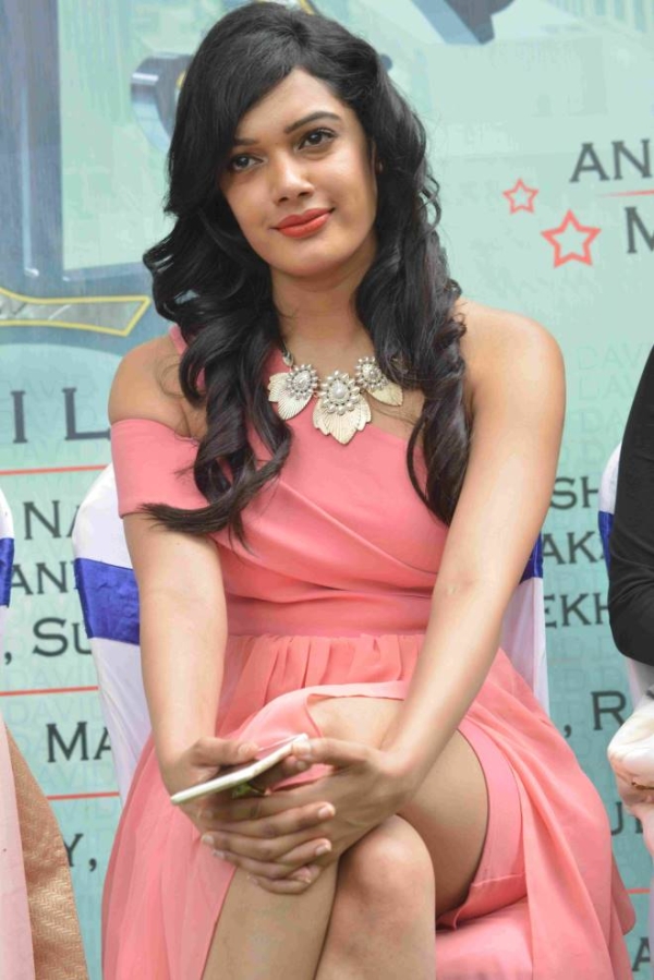 David Press Meet Photos - FilmiBeat