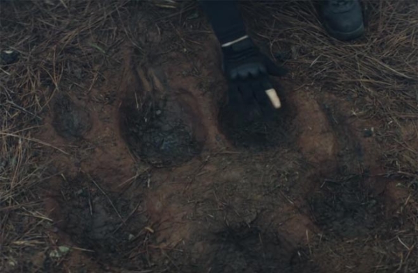 Rampage Photos: HD Images, Pictures, Stills, First Look Posters of ...