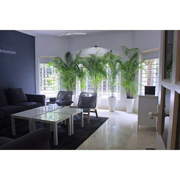 Allu Arjun New Office Photos Photos - FilmiBeat