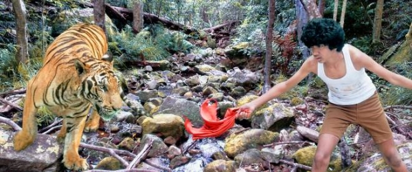 Maddy At Madhav Photos: HD Images, Pictures, Stills, First Look Posters of Maddy At Madhav Movie ...