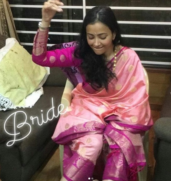 Shweta Basu Prasad And Rohit Mittal Wedding, Marriage Photos
