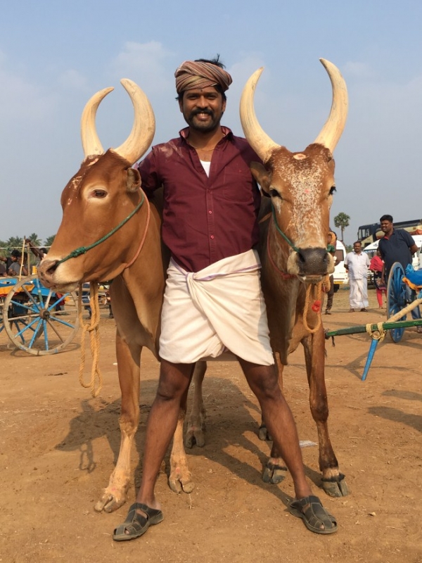 Soundararaja Photos [HD]: Latest Images, Pictures, Stills of ...