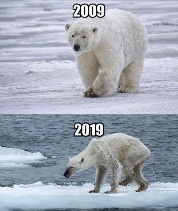 10 Year Challenge Memes 10-year-challenge-memes
