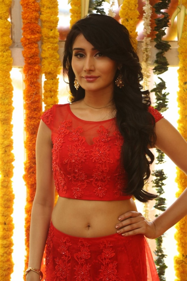 Monica Sharma Photos [HD]: Latest Images, Pictures, Stills of Monica ...